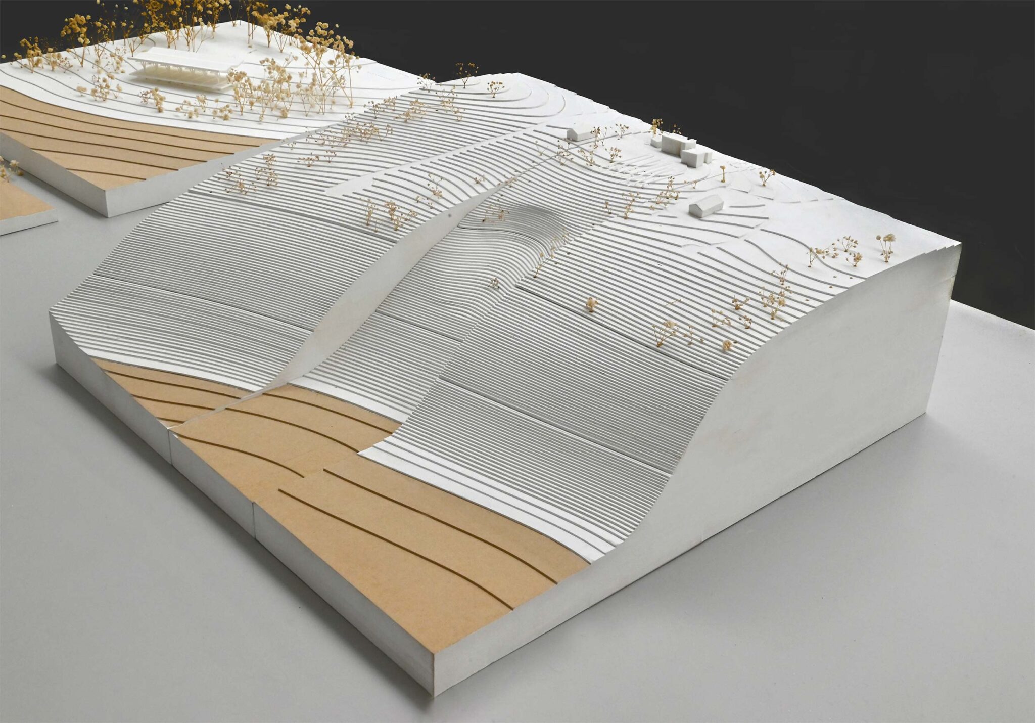 An Architecture of Managed Retreat - Taubman College